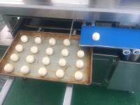 China Polished 304 Stainless Steel Crispy Egg Yolk Pastry Production Line for sale