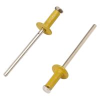 China Stainless Steel Material Head Blind Rivet with Powder Coating OEM CNC Hardware Parts for sale