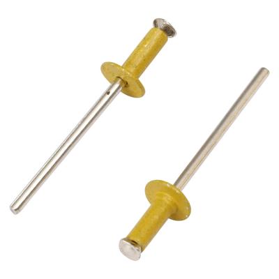China Stainless Steel Material Head Blind Rivet with Powder Coating OEM CNC Hardware Parts for sale