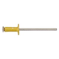 China Stainless Steel Material Head Blind Rivet with Powder Coating OEM CNC Hardware Parts for sale