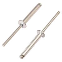 China Stainless Steel Material Head Blind Rivet with Powder Coating OEM CNC Hardware Parts for sale