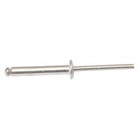 China Stainless Steel Material Head Blind Rivet with Powder Coating OEM CNC Hardware Parts for sale