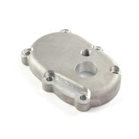 China Customized High Precision Aluminum Die Casting Furniture Decorative Hardware for Plating for sale