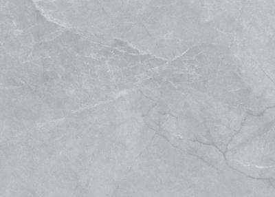 China Versatile Indoor Porcelain Tiles Stain Resistance Prague Grey for sale