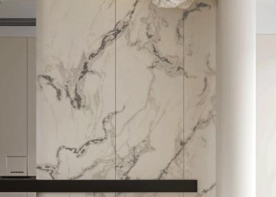 China 1200*2800mm Interior Porcelain Wall Slab Scratch Resistance and Durability for sale