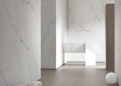 China Scratch And Stain Resistant Porcelain Indoor Tiles With Easy Maintenance And Polished Finish for sale