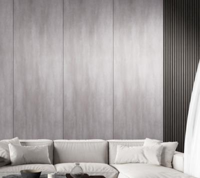 China 800*2600mm Grey Indoor Porcelain Tile Panels for Versatile Applications for sale