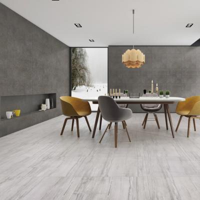 China Easy Maintenance Indoor Porcelain Tiles with Water Absorption 0.5% Stain Resistance for sale