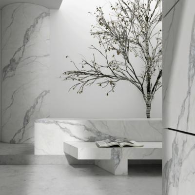 China Low Water Absorption Indoor Porcelain Tiles Durable Long-Lasting For Flooring for sale