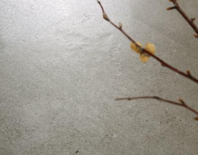 China Glossy Modern Porcelain Tile / Glazed Villa Flooring Tiles Wear Resistance for sale