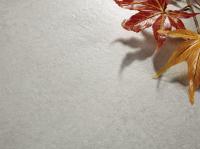 China 600x600 mm Size Tile Grip Lappato Tile Peal Color Tile Heat Insulation for sale