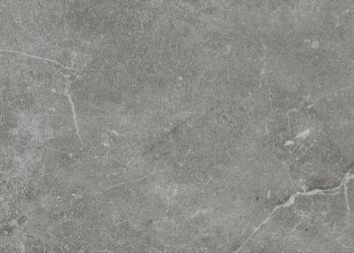 China 60x60 CM 30x30 CM Modern Porcelain Tile , Porcelain Floor Tiles For Dining Room Use for sale