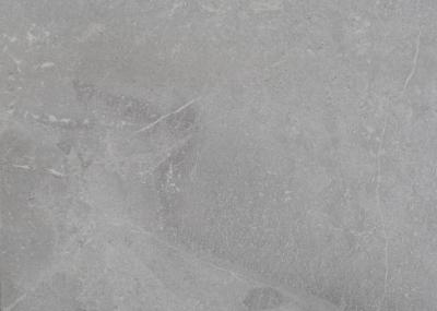 China Homogeneo Polished Porcelain Tile , 12
