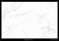 China Big Tile Size Large Format White Wall Tile Carrara Porcelain Tile 	Indoor Porcelain Tiles 32.4