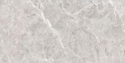 China Very Nice Light Grey Color Modern Porcelain Tile Marbles Floors Porcelain Tile 900*1800mm for sale