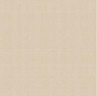 China Matt Surface Non Slip Cement Look Porcelain Tile , Rustic Matt Porcelain Tiles 600*600mm for sale
