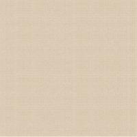 China Matt Surface Non Slip Rustic Matt Porcelain Tiles 60*60cm Water Resistance for sale