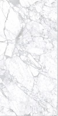 China Large Size White Color 1600 X 3200mm Living Room Porcelain Floor Tile for sale