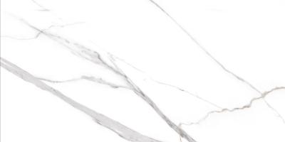 China Extra Large Porcelain Tiles Manufacturers 750x1500mm Size Indoor Porcelain Tiles What Does Ceramic Tile Look Like for sale