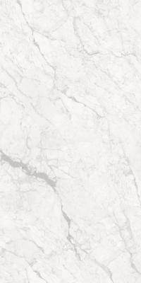 China Wear Resistant 900*1800mm Barthroom Ceramic Tile for sale