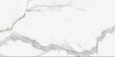 China Carrara White Porcelain Matt Surface 900x1800mm Interior Floor Tile for sale