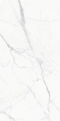 China Ceramic Interior Wall And Floor 1200*2400mm Glazed Porcelain Tile for sale