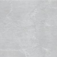 China Bathroom Kitchen Matt 10mm 60*60cm Modern Porcelain Tile for sale