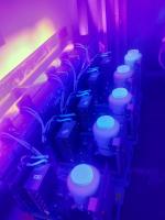 China 1300W UV LED Module Purple UV Light 365nm 385nm 395nm 405nm For UV curing for sale