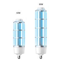 China Portable UV-C Sterilizer UV Light 254nm Bactericidal Disinfection Germicidal UV Bulb for sale