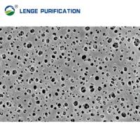 China 30 Inch PES Ss Pleated Filter Cartridge With 0.22um PES Membrane For Eye Drops for sale