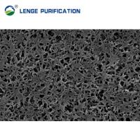 China 0.1um PP Core Nylon Pleated Filter Cartridge For Sterilization Filtration for sale