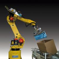 China Fanuc R-2000iC/125L Industrial Robot Arm with 125kg Payload and 3100mm Reach for Welding and Palletizing for sale