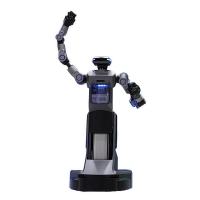 China CNGBS Liftable Bipedal Humanoid Robot 20+ Joints Intelligent Commercial AI Robot for sale