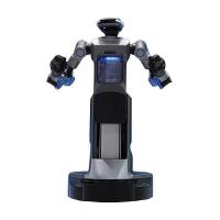 China CNGBS Liftable Bipedal Humanoid Robot 20+ Joints Intelligent Commercial AI Robot for sale