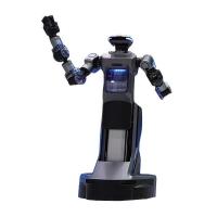 China CNGBS Liftable Bipedal Humanoid Robot 20+ Joints Intelligent Commercial AI Robot for sale