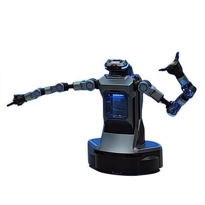 China Ultra-Flexible Secondary Development Industry Service Artificial Intelligence Robot Embodied AI Humanoid Robot for sale