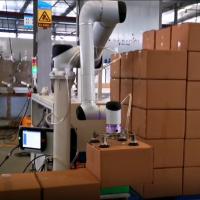 China Huayan S20 Collaborative Robotic Arm 20kg Payload 1700mm Reach Palletizing Robot Cobot for sale