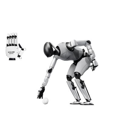China ROBOTERA L7 Humanoid Robot with XHAND1 17-DOF Dexterous Hand 1.75m 68kg for sale