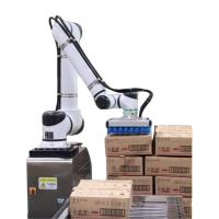 China Huayan S50 6 Axis Industrial Robot Arm 50kg Payload 2000mm Reach for Heavy Palletizing Automation for sale