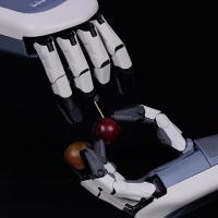 China Dexrobot Humanoid Five Fingers Dexterous Hand Dexhand021 MP Pro 6 DOF Robotic Gripper for sale