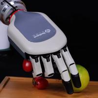China Dexrobot Humanoid Five Fingers Dexterous Hand Dexhand021 MP Pro 6 DOF Robotic Gripper for sale
