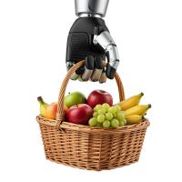 China Inspire Robots RH56DFX 6-DOF Dexterous Hand Five-Finger Tendon-Driven Robotic Gripper for AI Research for sale