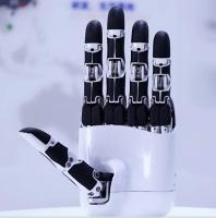China Leadshine DH116 Dexterous Robotic Hand 6DOF Tendon-Driven Five-Finger Humanoid Robot Hand for sale