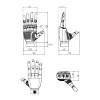 China Leadshine DH116 Dexterous Robotic Hand 6DOF Tendon-Driven Five-Finger Humanoid Robot Hand for sale