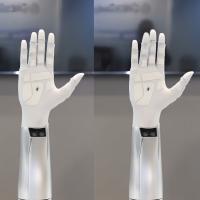 China Xynova Flex 2 AI Vision Force Feedback Robotic Hand Humanoid Robot Hand Dexterous Hand AUBO I10 Collaborative Robots for sale
