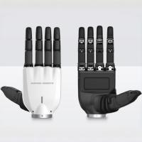 China High DOF Inspire-Robots RH5DG2 Dexterous Hand Humanoid Robot Hand Multi Finger Collaborative Robotic Hand for sale