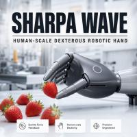 China Sharpa Wave 22 DOF Human scale Dexterous Robotic Hand with High resolution Tactile Sensor for Robot Integration Industrial Automation for sale