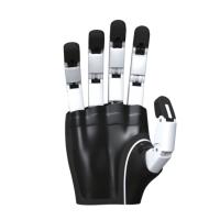 China High Precision 20DOF Dexterous Hand with Tendon-Driven Transmission and 10kg Payload Capacity for Industrial Automation for sale