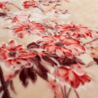 China Woven Polyester Sublimation Blanket for Luxury Bed Printed Home Blanket in Winter for sale