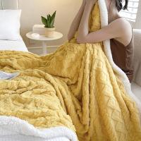 China Multifunctional Reversible Fleece Blanket 180*200cm 2.5kg Bedroom Essential for sale